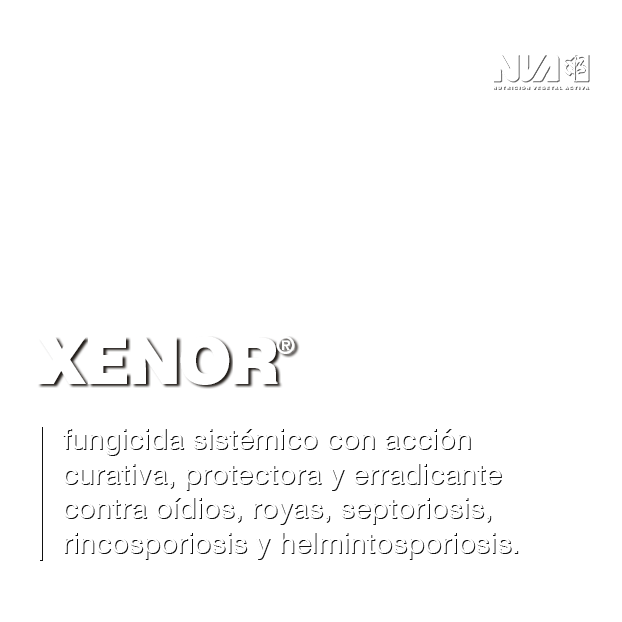 Xenor® - Pasche